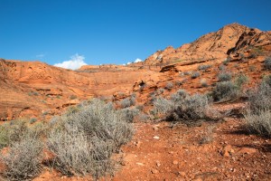 The Utah Life – Roaming Free In An RV